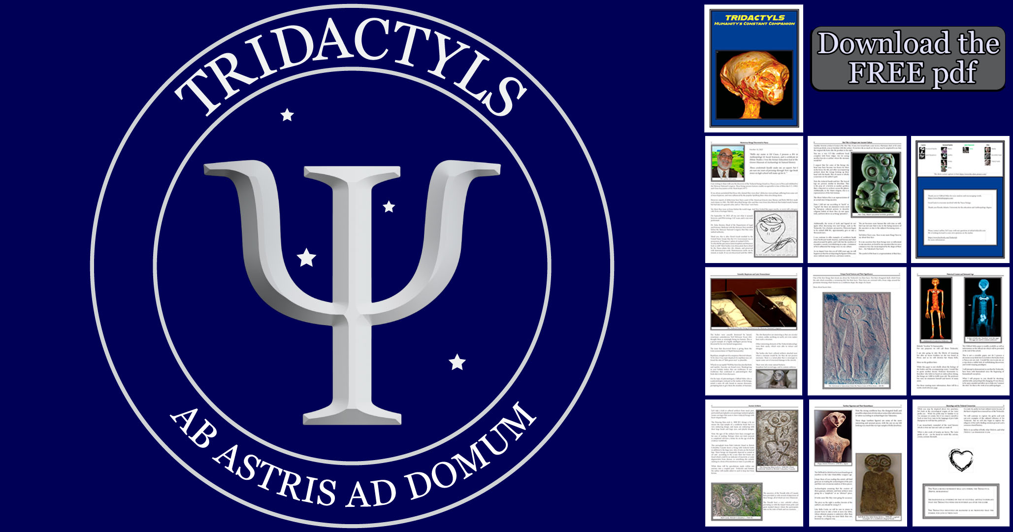 What is a Tridactyl?